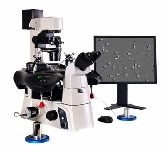 Prof. Consultz International Limited | Nigeria's Reliable Medical IVF ...